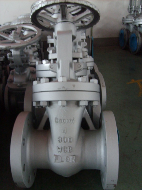 300LB Flex Wedge Gate Valve